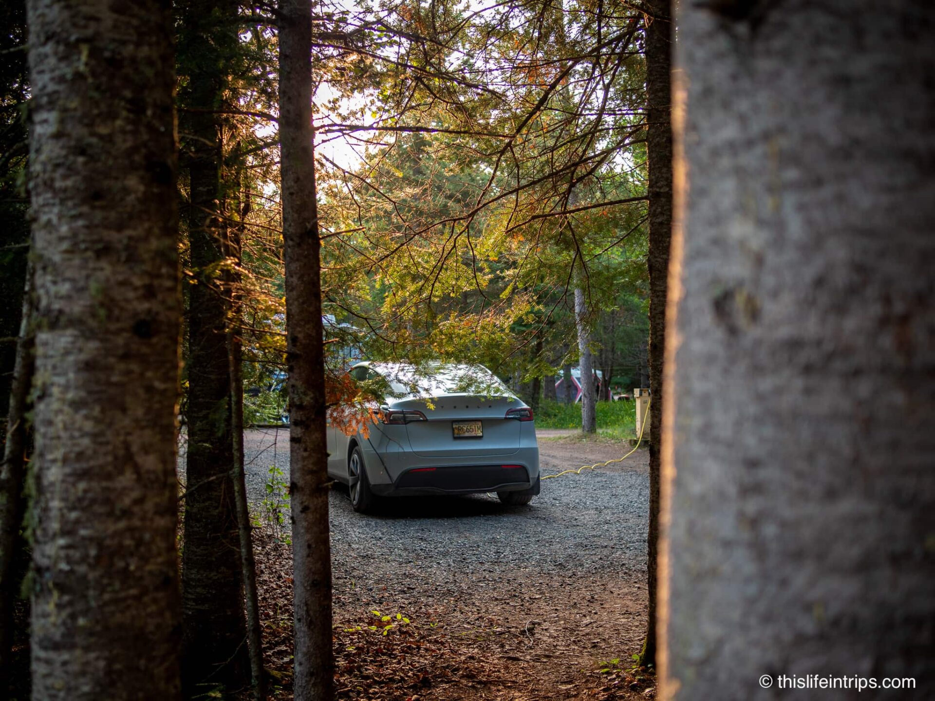 5 Tesla Model Y Camping Accessories for Your Next Adventure